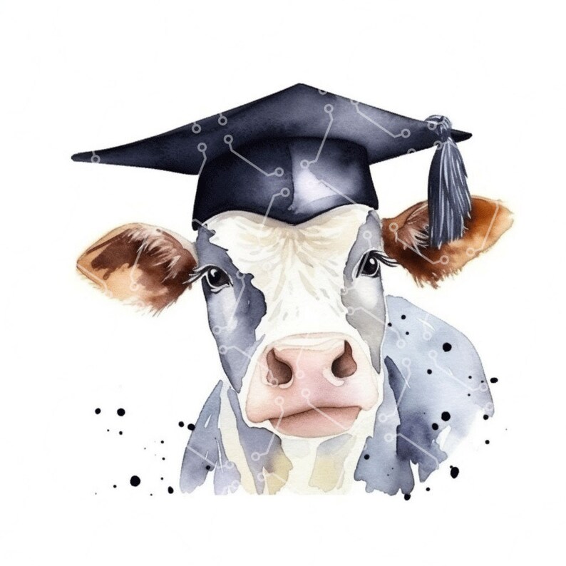 Cow or West Highland Cow in GRADUATION Hat - Graduation Clipart, Grad ...