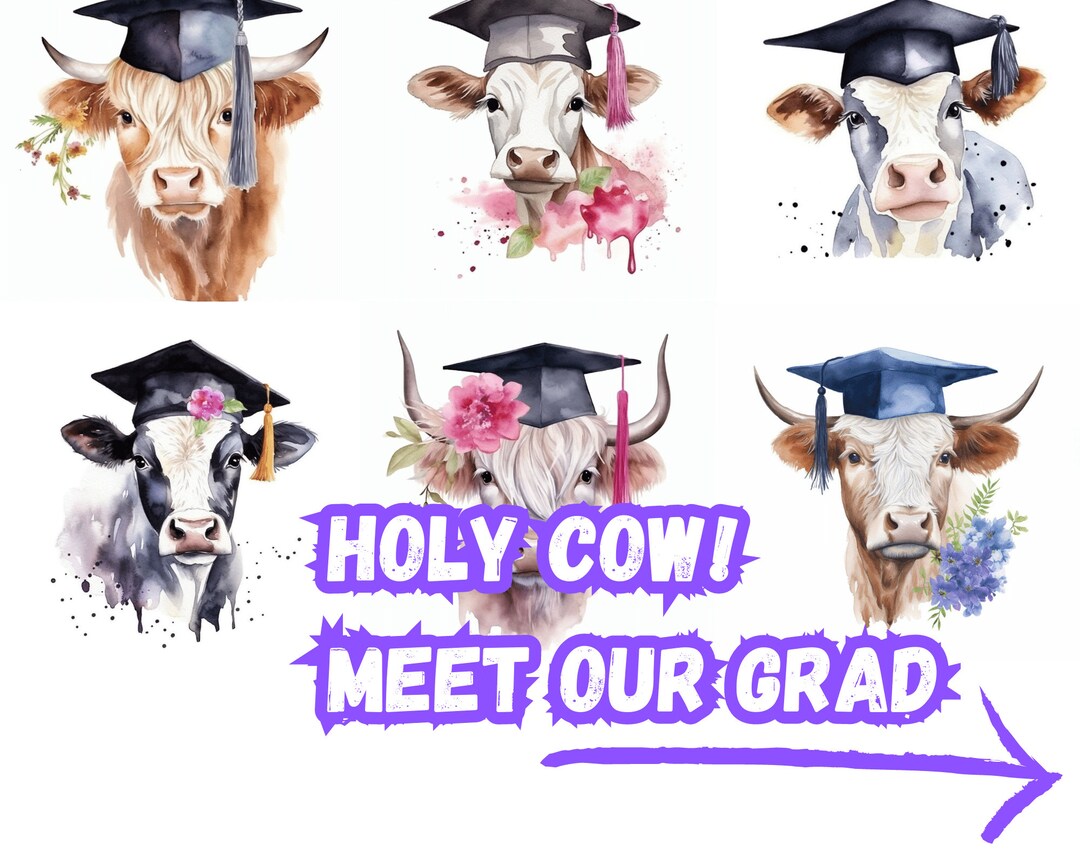 Cow or West Highland Cow in Graduation Hat Graduation - Etsy
