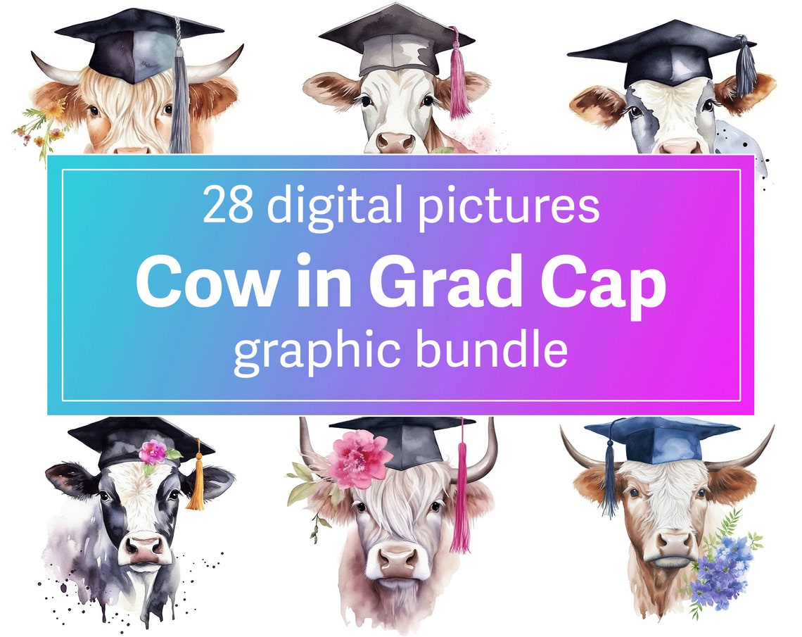 Cow or West Highland Cow in Graduation Hat Graduation - Etsy