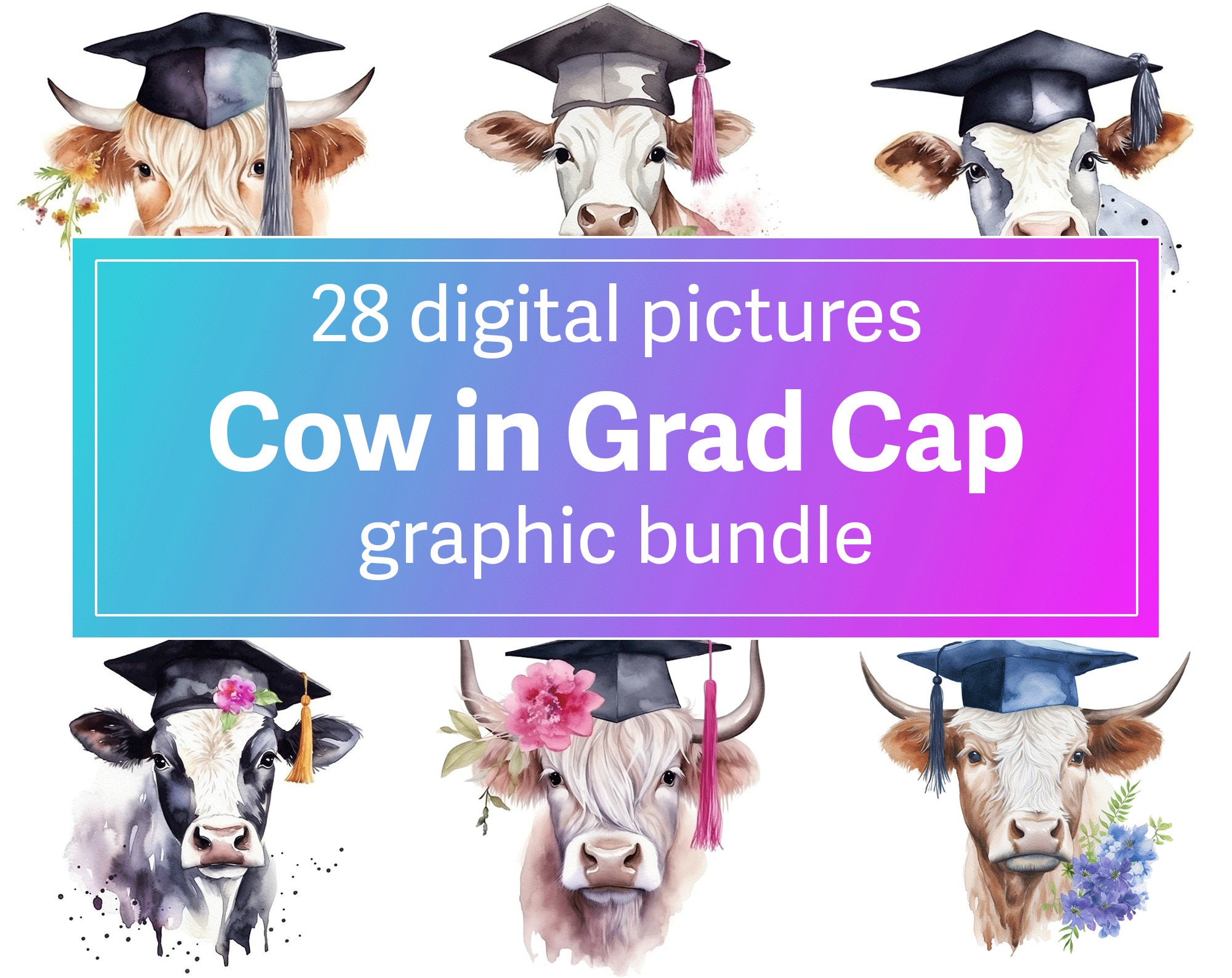 Cow or West Highland Cow in GRADUATION Hat - Graduation Clipart, Grad ...