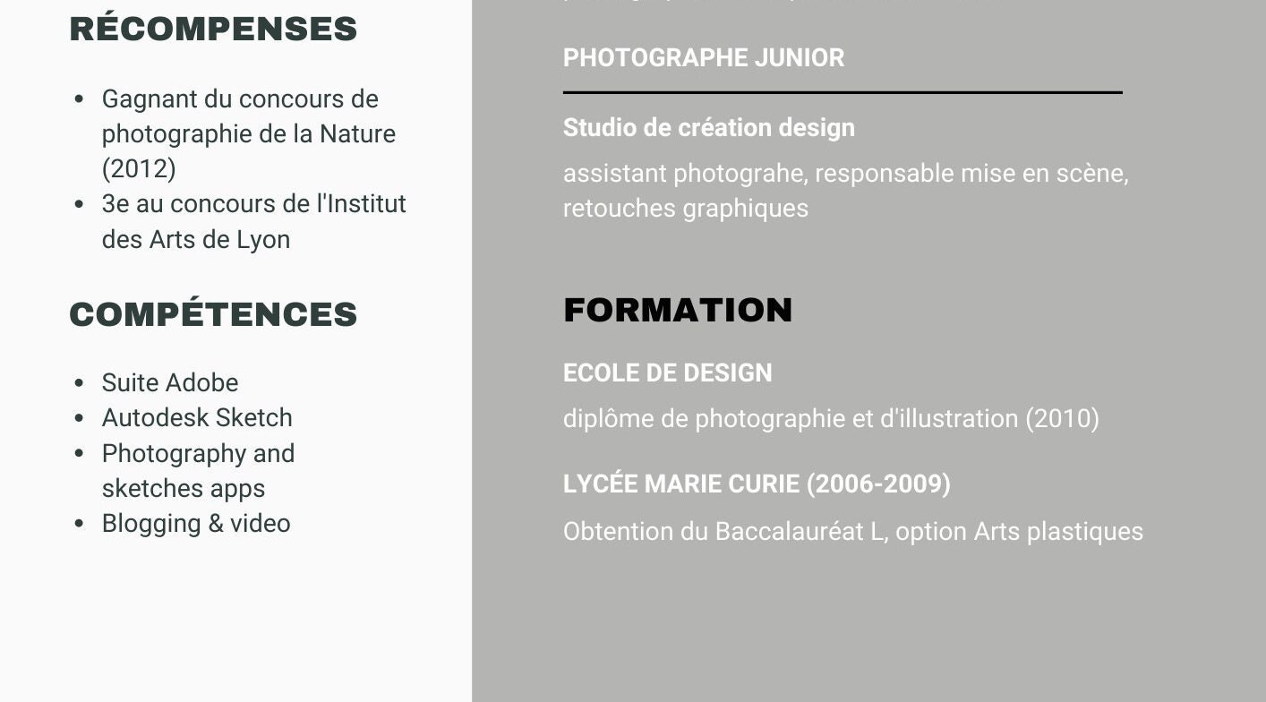 Cv Français Cv Template Cv Modèle - Etsy