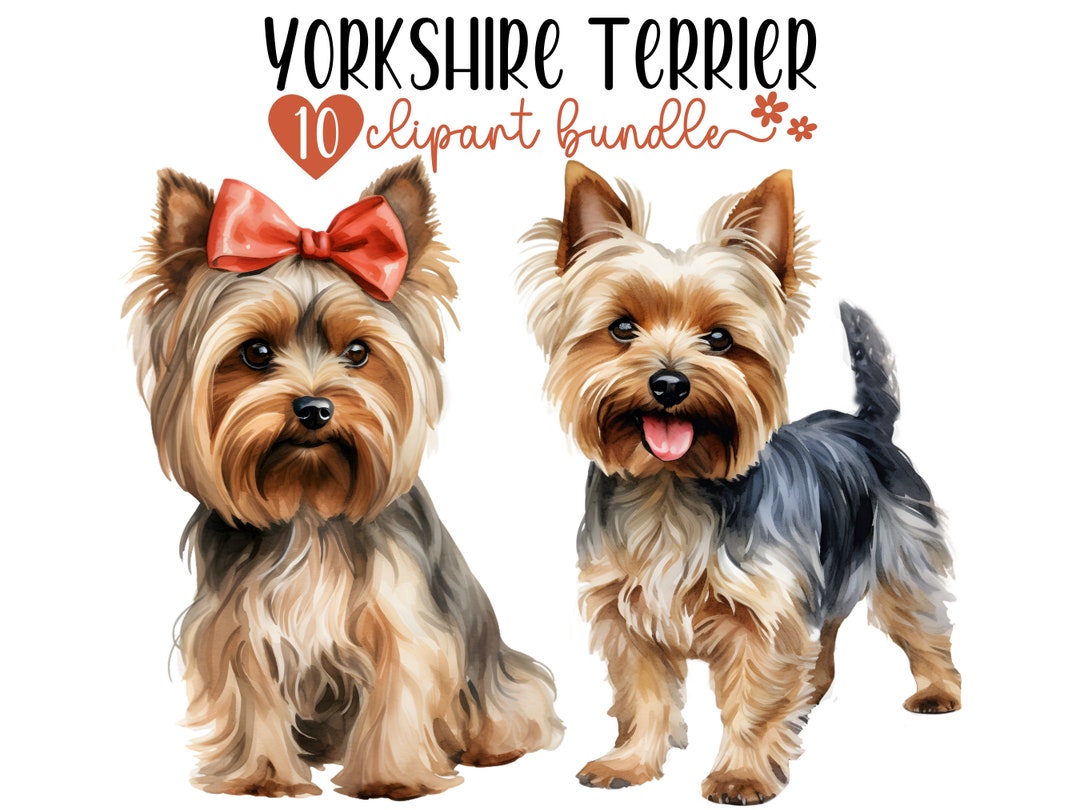 Yorkshire Terrier Clipart Bundle, Watercolor Yorkshire PNG Images for ...
