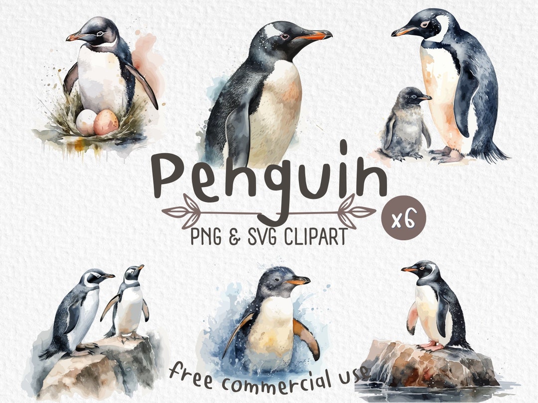 Watercolor Penguin Clipart 6 High-quality PNG SVG Files 300 - Etsy
