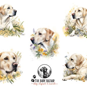 Yellow Labrador Clipart Bundle, Watercolor Labrador Retriever JPG ...