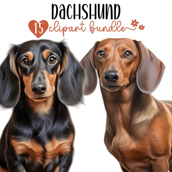 Dachshund Clipart - Etsy