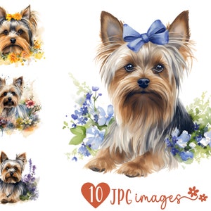 Yorkshire Terrier Clipart Bundle, Watercolor Dog Breed Clipart JPG ...