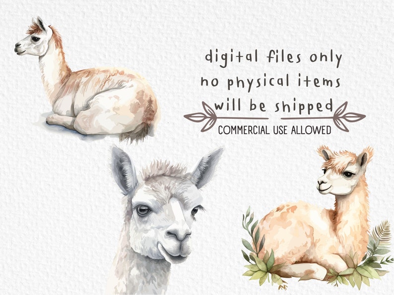 Watercolor Alpaca Clipart Bundle 10 High Quality PNG SVG - Etsy