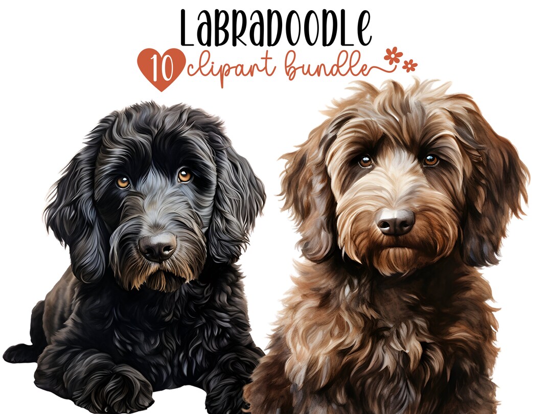 Labradoodle Clipart Bundle 10 High-quality PNG Files Digital Planner ...