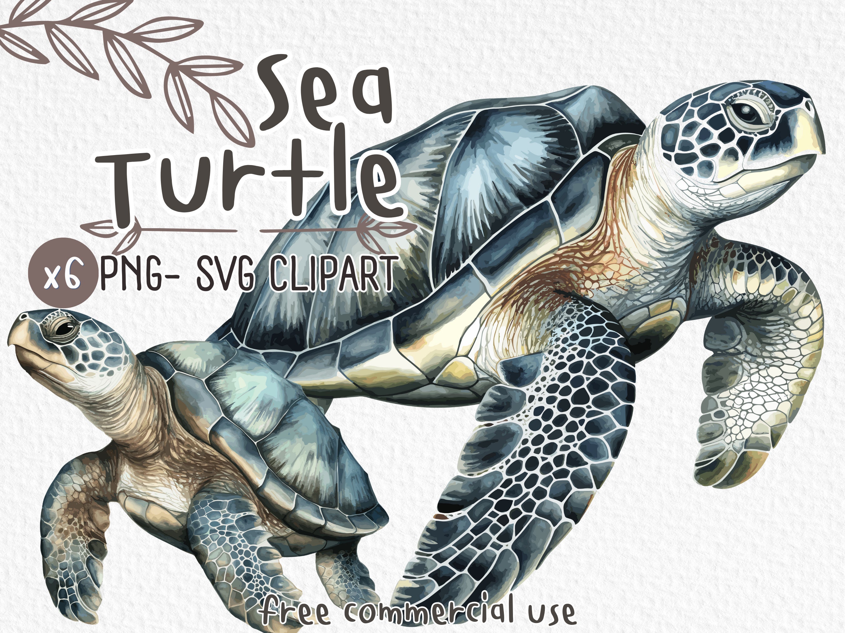 Watercolor Sea Turtle Clipart Bundle 6 High Quality PNG SVG - Etsy