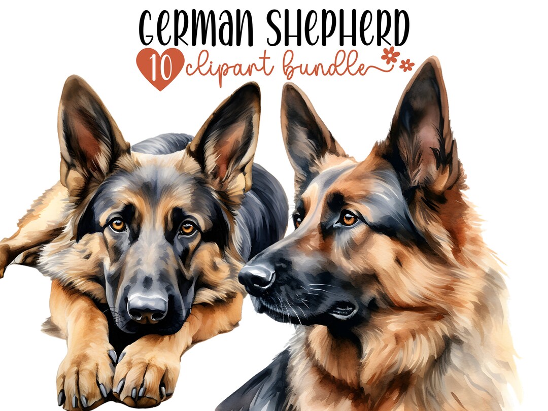 German Shepherd Clipart Bundle, Watercolor German Shepherd PNG Images ...