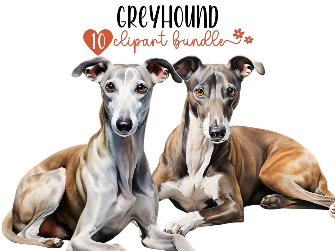 Greyhound Clipart Bundle 10 High-quality PNG Files Digital Planner ...