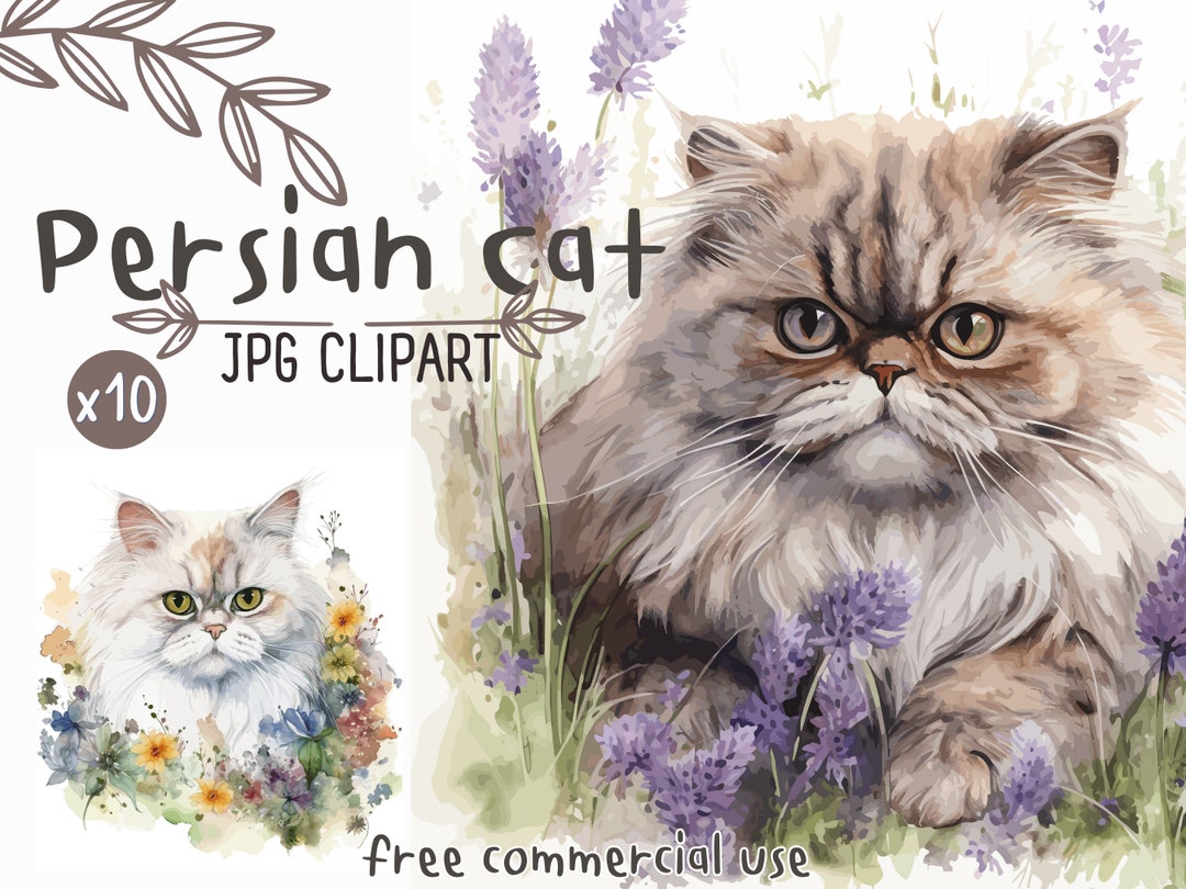 Watercolor Persian Cat Clipart Bundle 10 High Quality JPG - Etsy