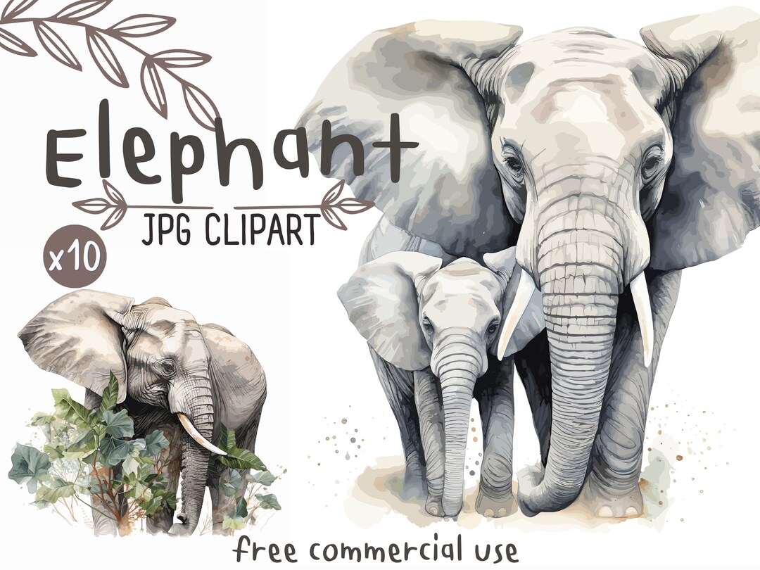 Watercolor Elephant Clipart 10 High-quality JPG Files 300 Dpi Safari ...