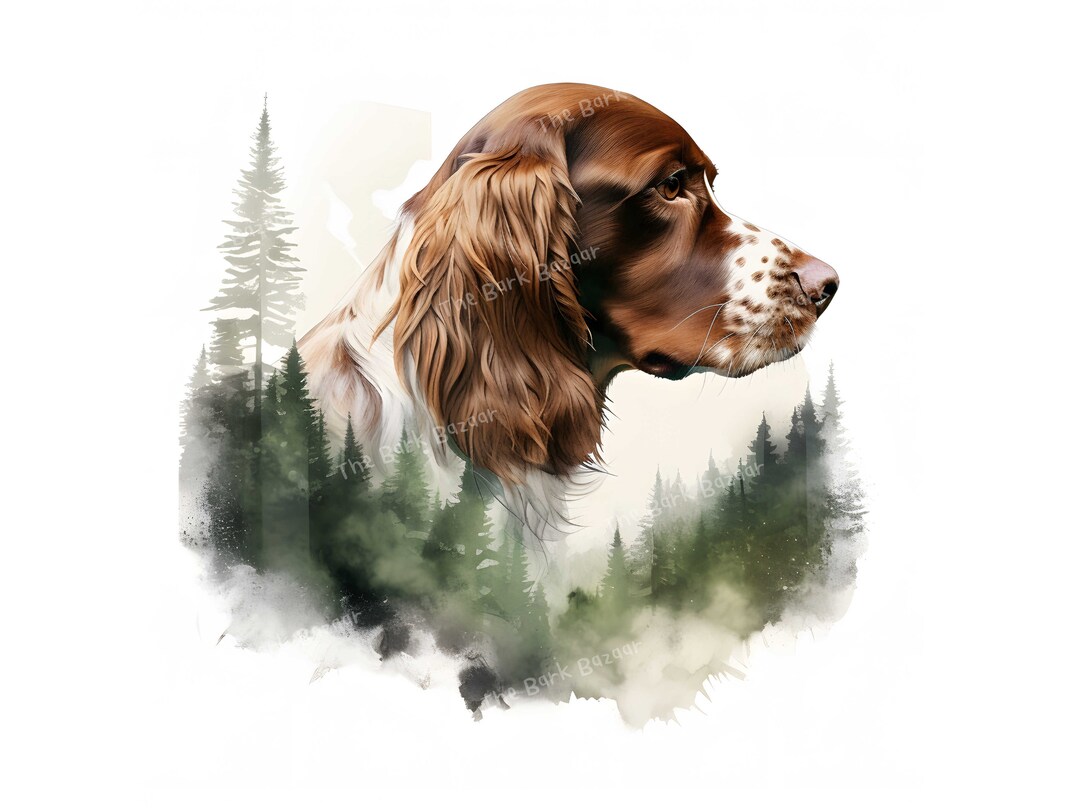 Watercolor Welsh Springer Spaniel Portrait Double Exposure Portrait ...