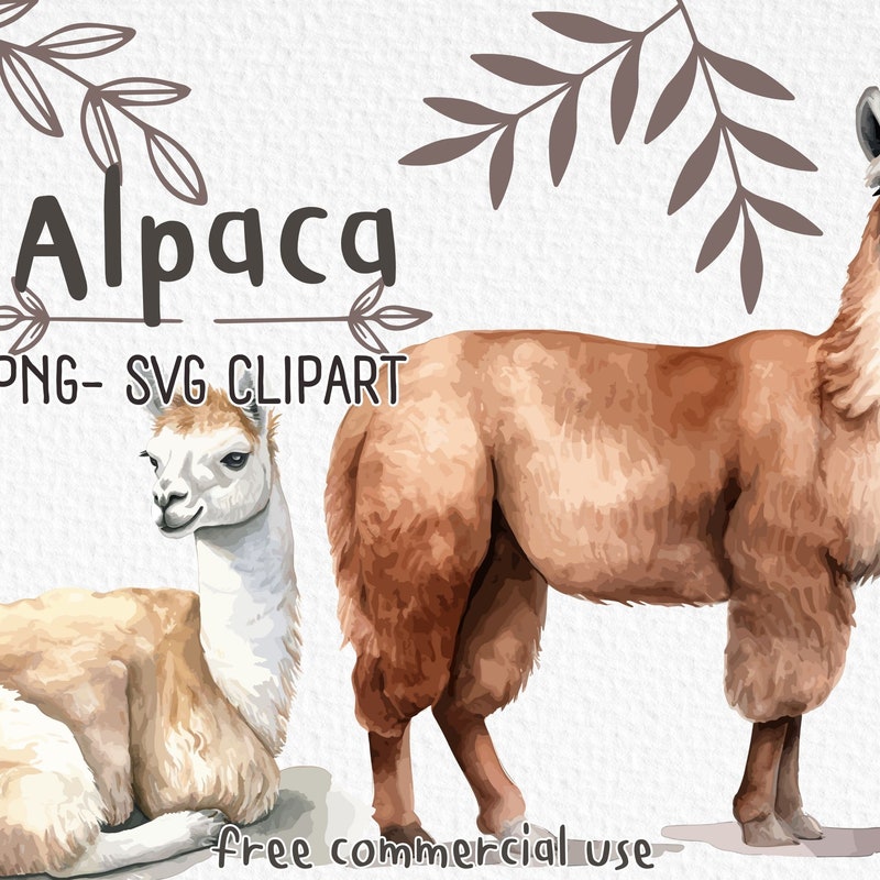 Alpaca Svg - Etsy