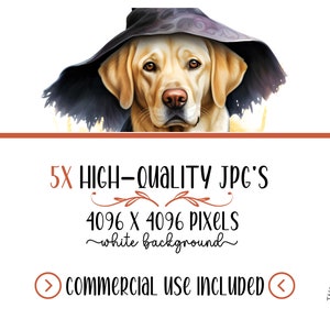 Labrador Retriever Halloween Clipart Bundle, Watercolor Labrador JPG ...