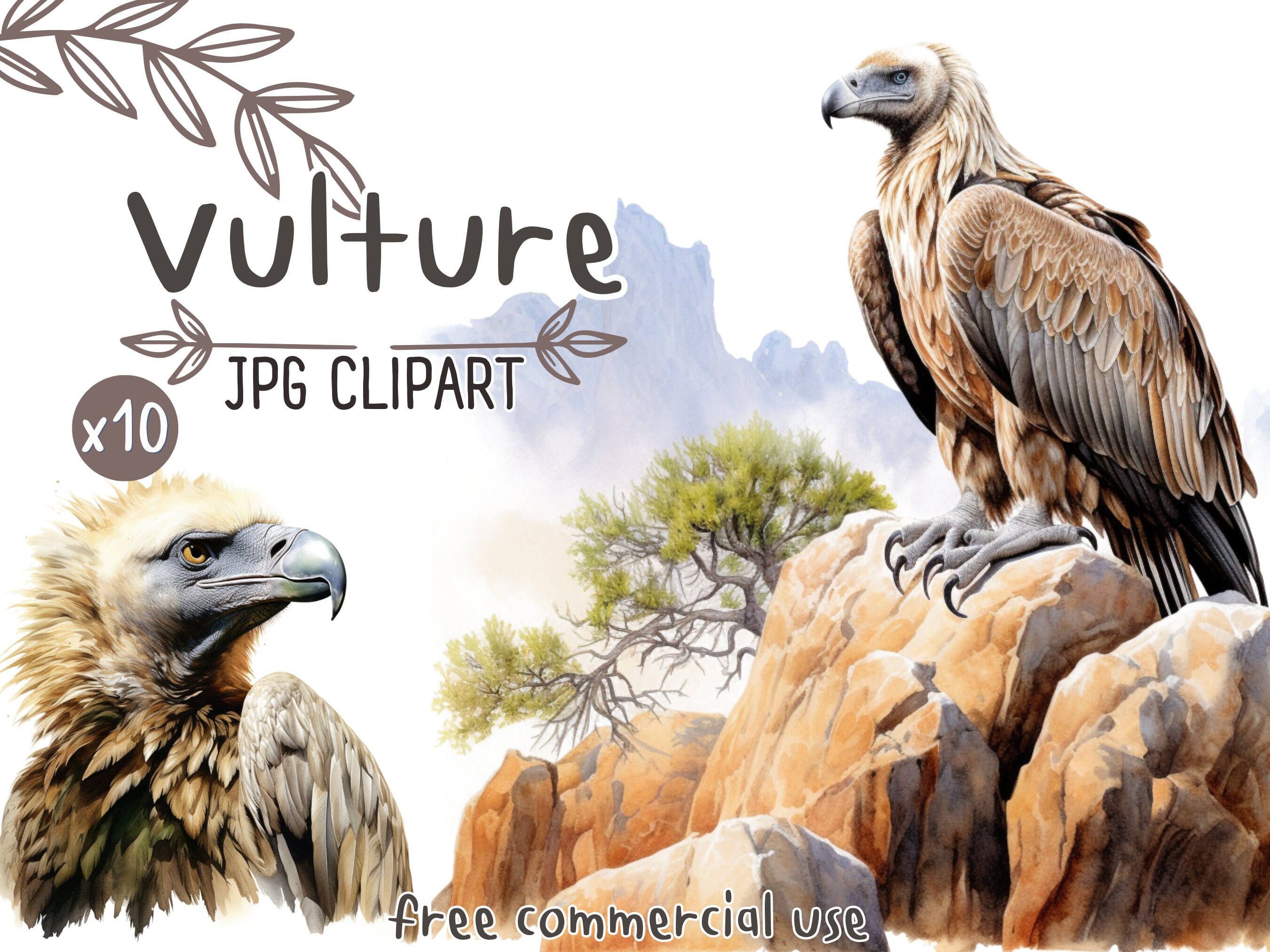 Watercolor Vulture Clipart Bundle 10 High Quality JPG - Etsy