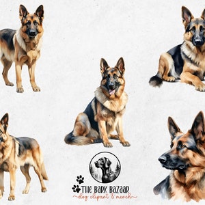 German Shepherd Clipart Bundle, Watercolor German Shepherd PNG Images ...