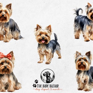 Yorkshire Terrier Clipart Bundle, Watercolor Yorkshire PNG Images for ...