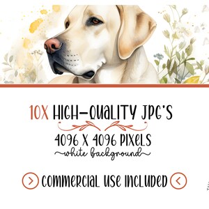 Yellow Labrador Clipart Bundle, Watercolor Labrador Retriever JPG ...
