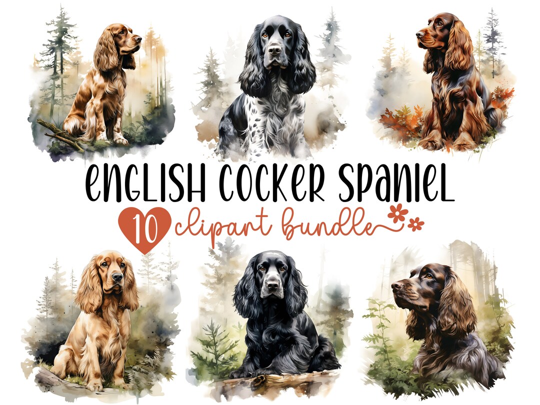 English Cocker Spaniel Clipart Bundle Watercolor Dog Breed - Etsy