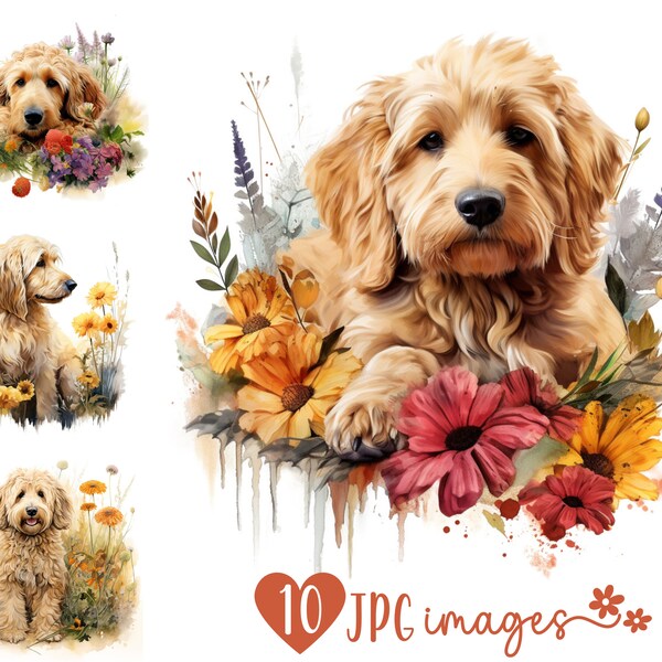 Goldendoodle Design - Etsy