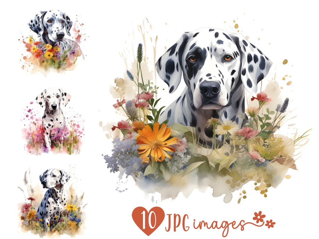 Dalmatian Clipart Bundle, Watercolor Dog Breed Clipart JPG, Dalmatian ...