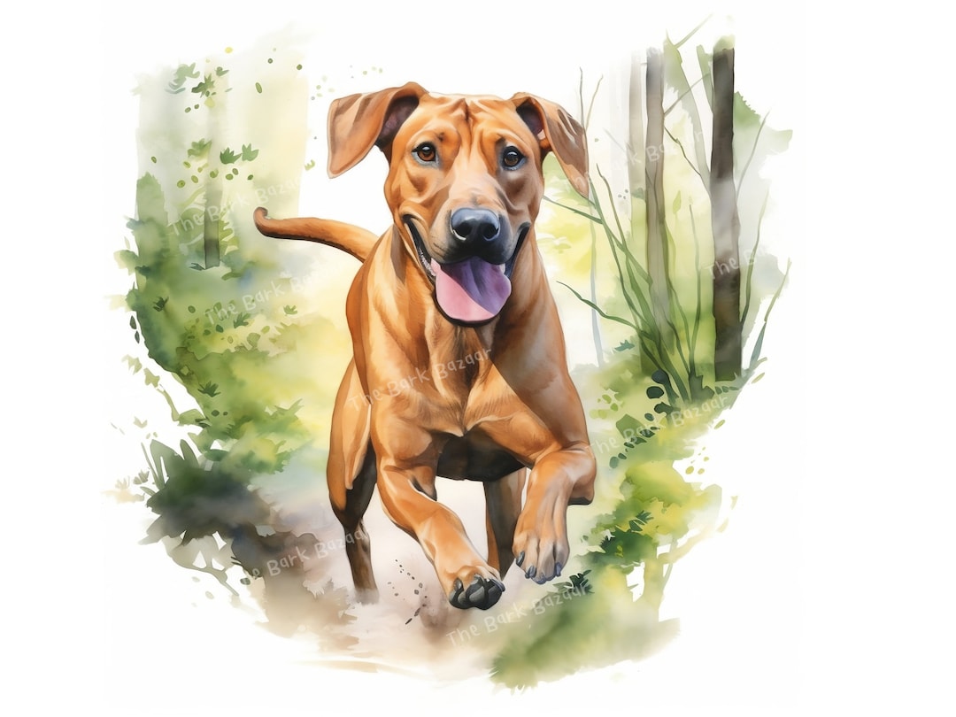 Watercolor Rhodesian Ridgeback Clipart in the Forest High Quality JPG ...