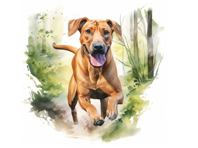Watercolor Rhodesian Ridgeback Clipart in the Forest High - Etsy