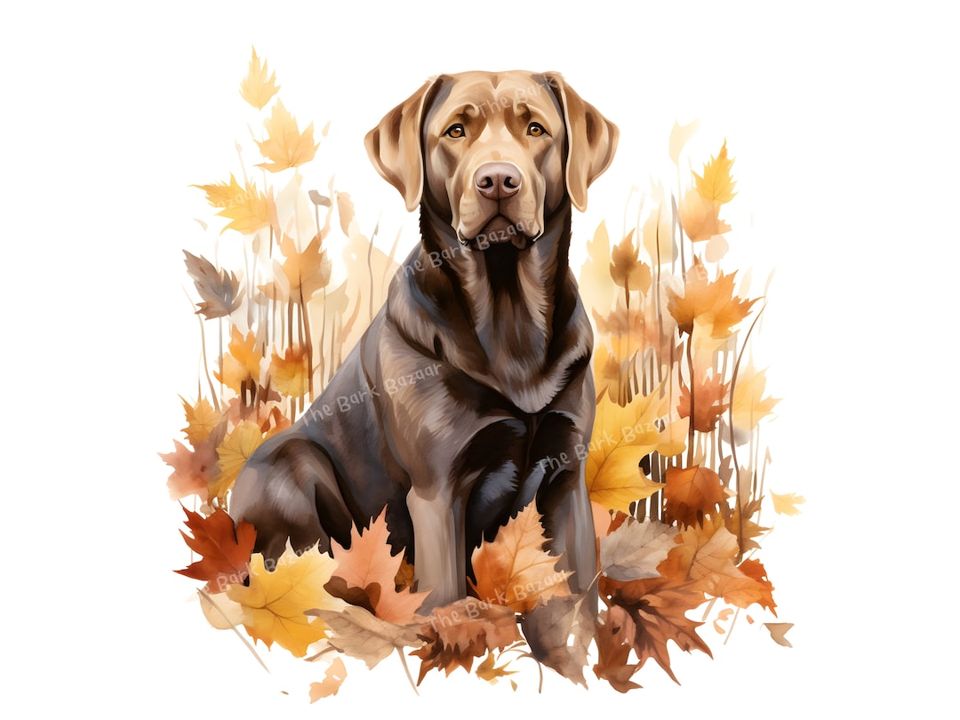 Watercolor Labrador Retriever Clipart, Fall Dog JPG Image, Autumn Dog ...