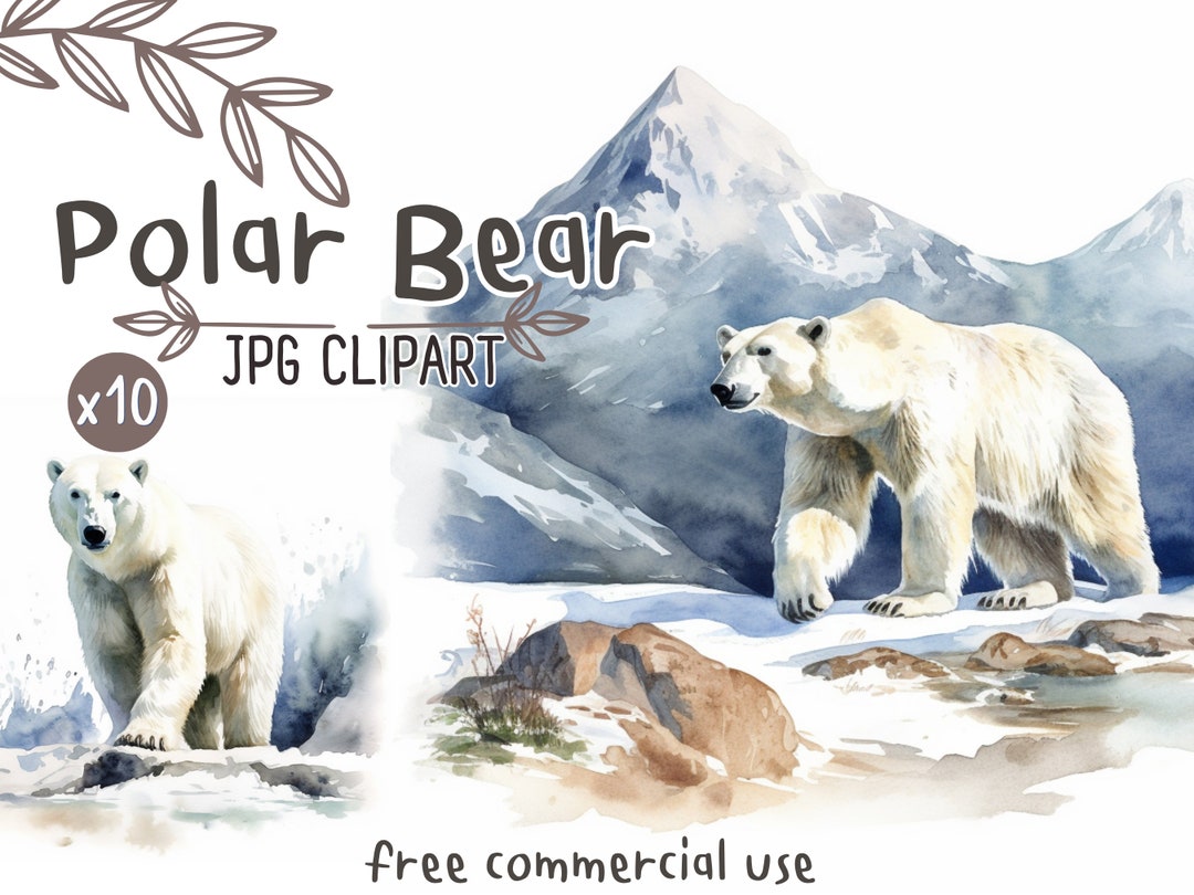 Watercolor Polar Bear Clipart Bundle 10 High Quality JPG Digital ...