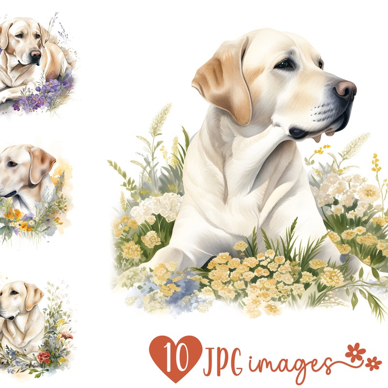 Yellow Lab Watercolor - Etsy