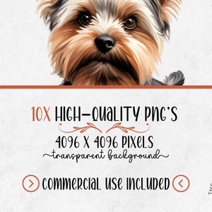 Yorkshire Terrier Clipart Bundle, Watercolor Yorkshire PNG Images for ...