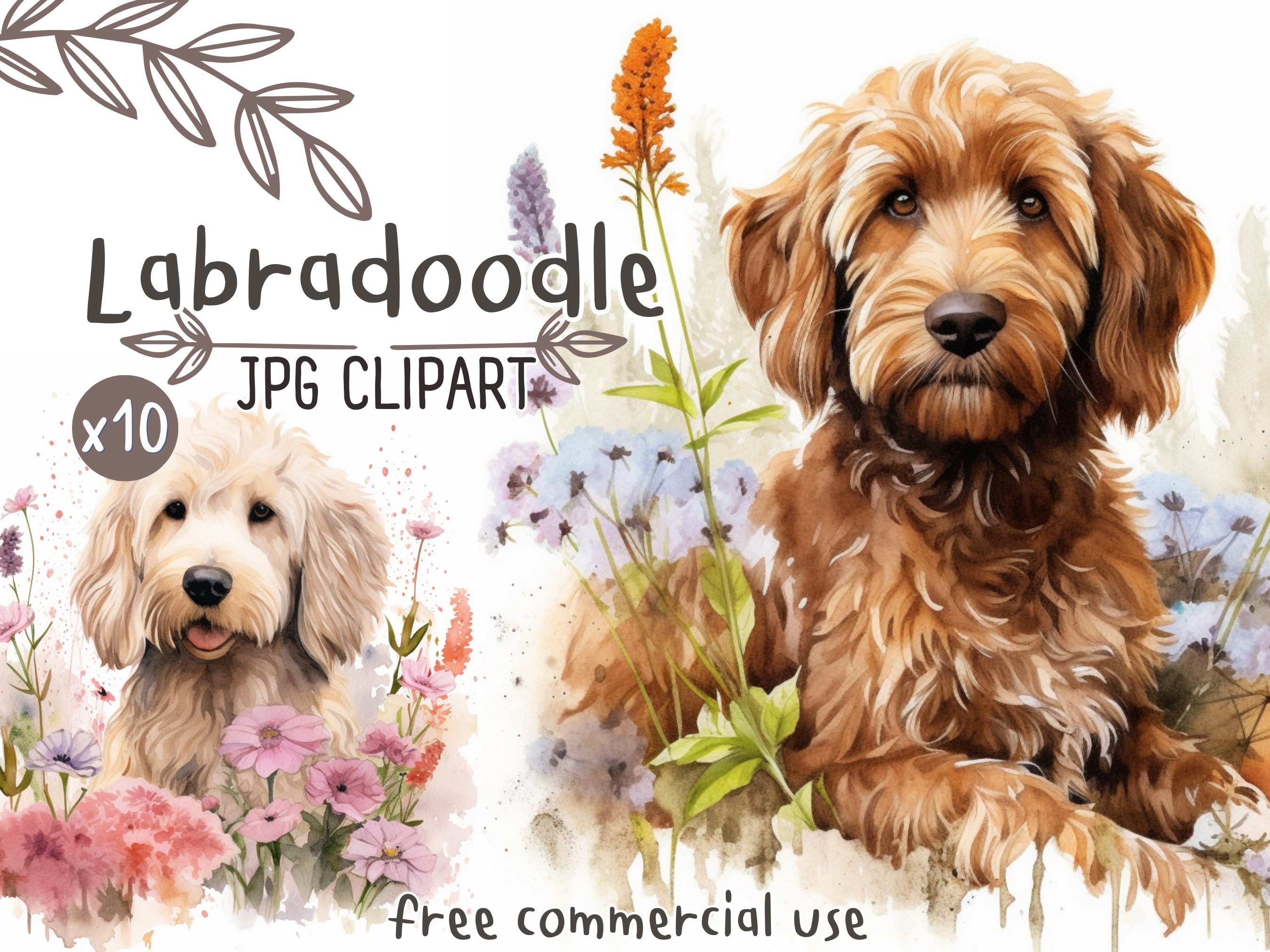 Watercolor Labradoodle Clipart Bundle 10 High Quality JPG - Etsy