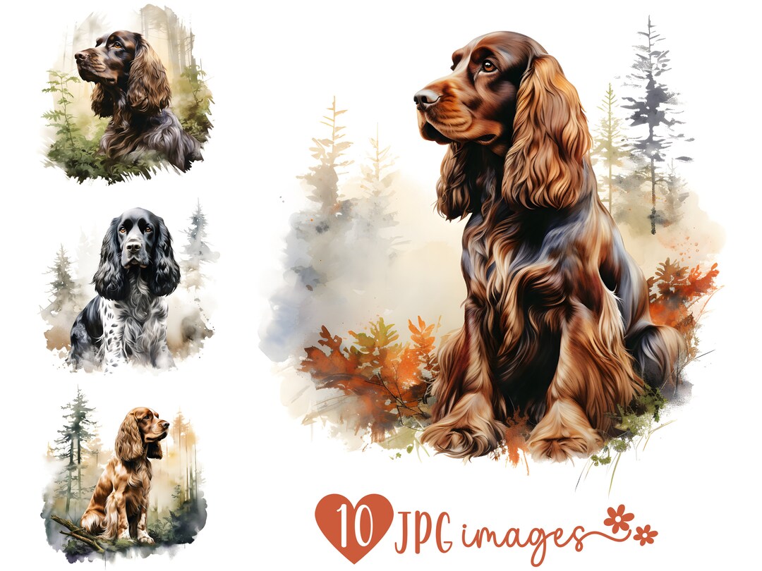 English Cocker Spaniel Clipart Bundle Watercolor Dog Breed - Etsy