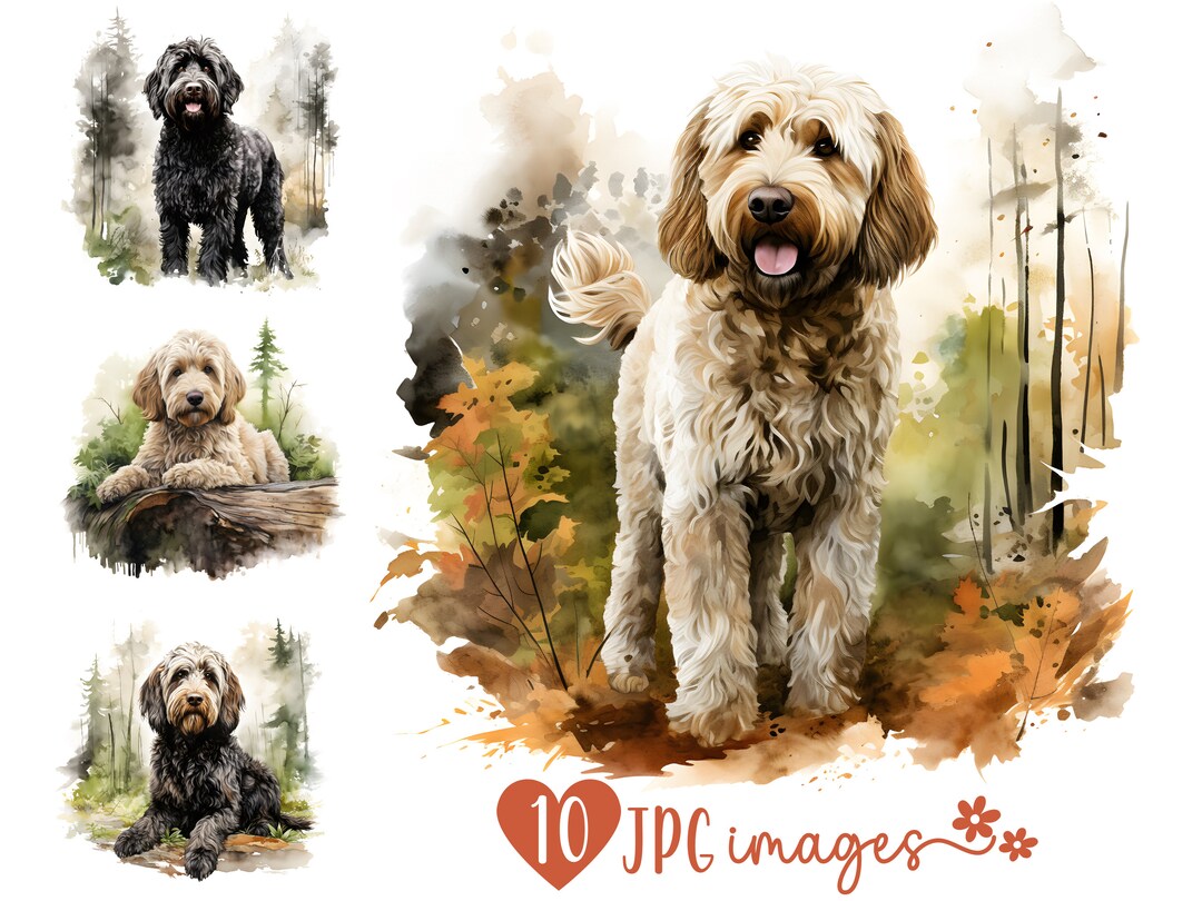 Watercolor Labradoodle Clipart Bundle, Labradoodle Sublimation Designs ...