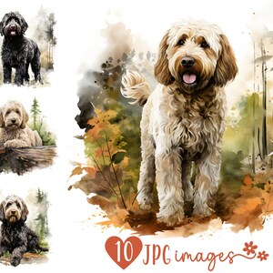 Watercolor Labradoodle Clipart Bundle, Labradoodle Sublimation Designs ...