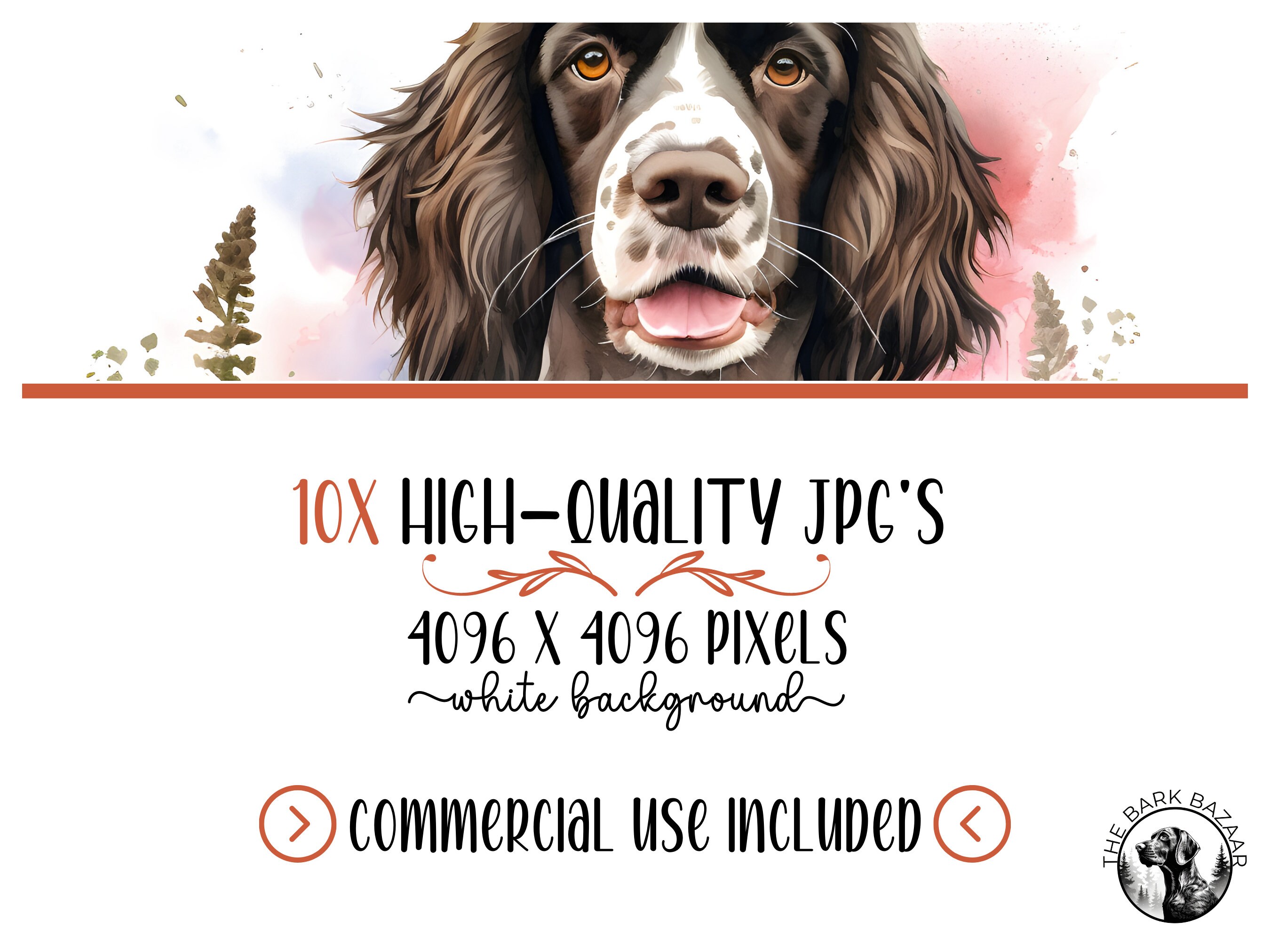 English Springer Spaniel Clipart Bundle Dog Breed Clipart - Etsy