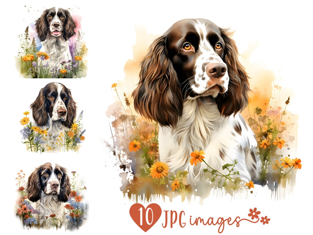 English Springer Spaniel Clipart Bundle, Dog Breed Clipart JPG ...