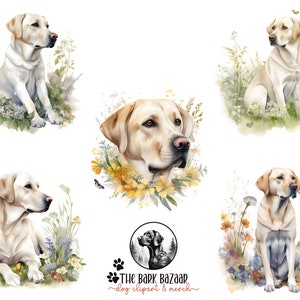 Yellow Labrador Clipart Bundle, Watercolor Labrador Retriever JPG ...