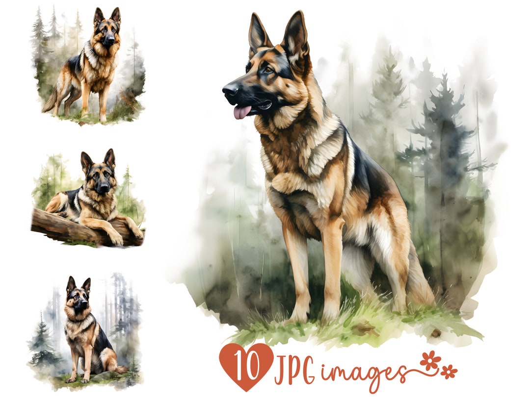 Watercolor German Shepherd Clipart Bundle, German Shepherd Sublimation ...