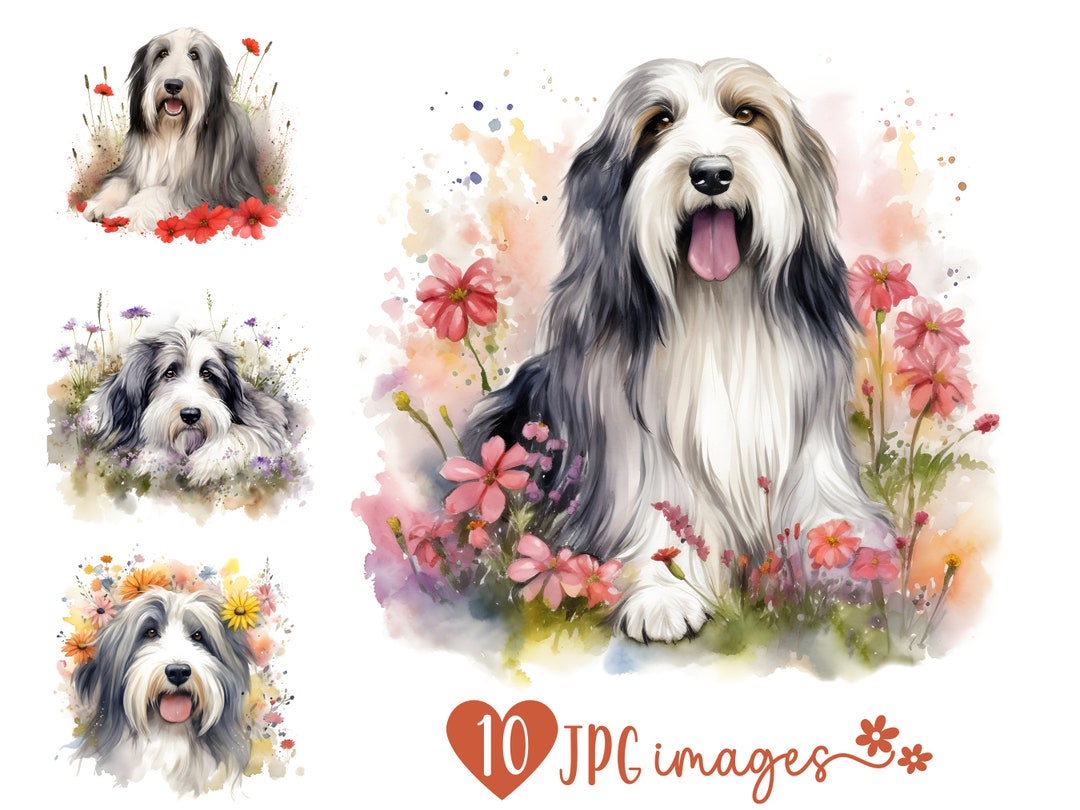 Bearded Collie Clipart Bundle, Watercolor JPG Prints, Dog Digital ...