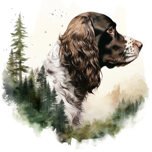 Watercolor English Springer Spaniel Portrait Double Exposure Portrait ...