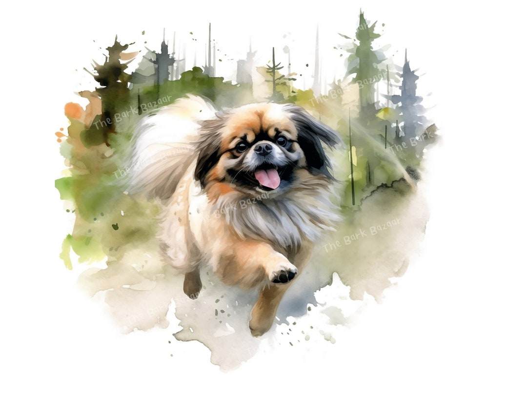 Watercolor Pekingese Clipart in the Forest High Quality JPG - Etsy