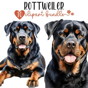Rottweiler Clipart Bundle, Watercolor JPG Prints, Dog Digital Download ...