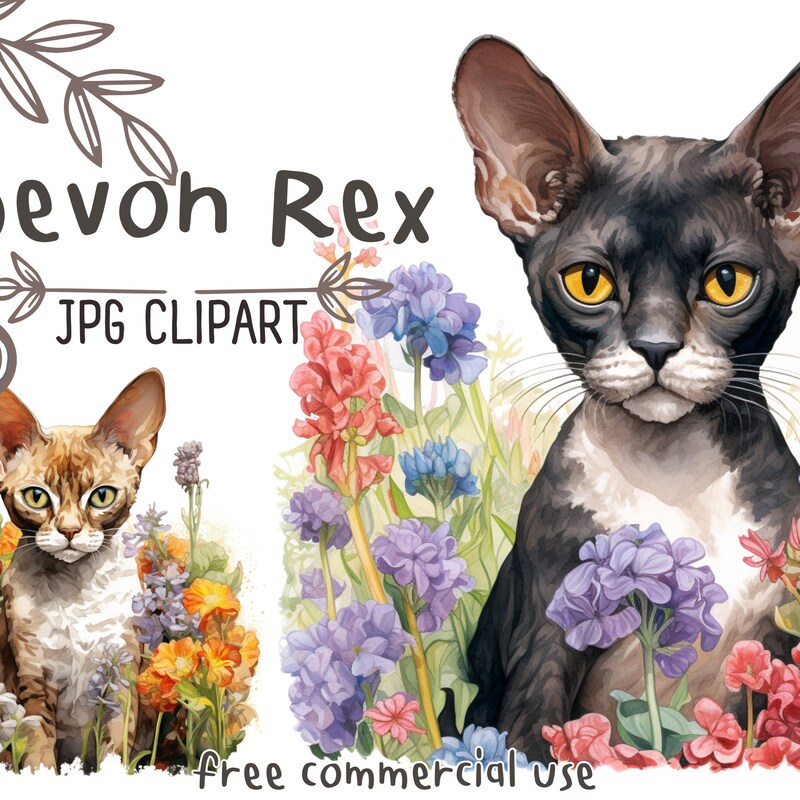 Devon Rex - Etsy