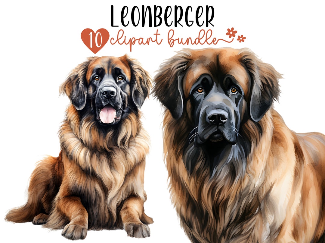 Leonberger PNG Clipart Bundle, Leonberger Sublimation Designs, Dog ...