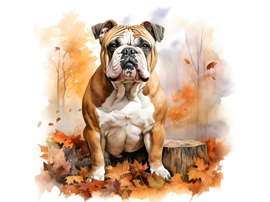 Watercolor English Bulldog Clipart, Fall Dog JPG Image, Autumn Dog ...