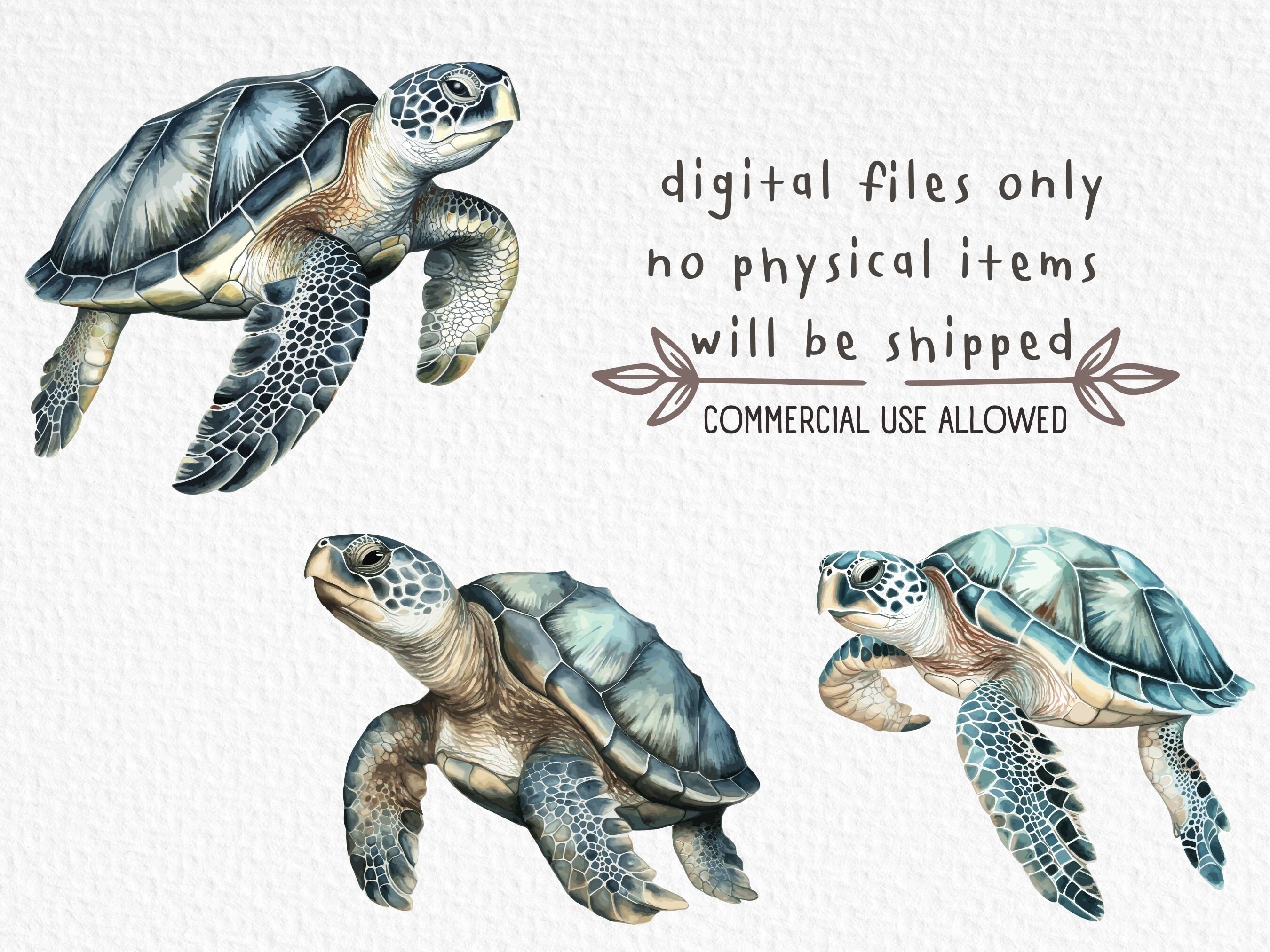 Watercolor Sea Turtle Clipart Bundle 6 High Quality PNG SVG - Etsy