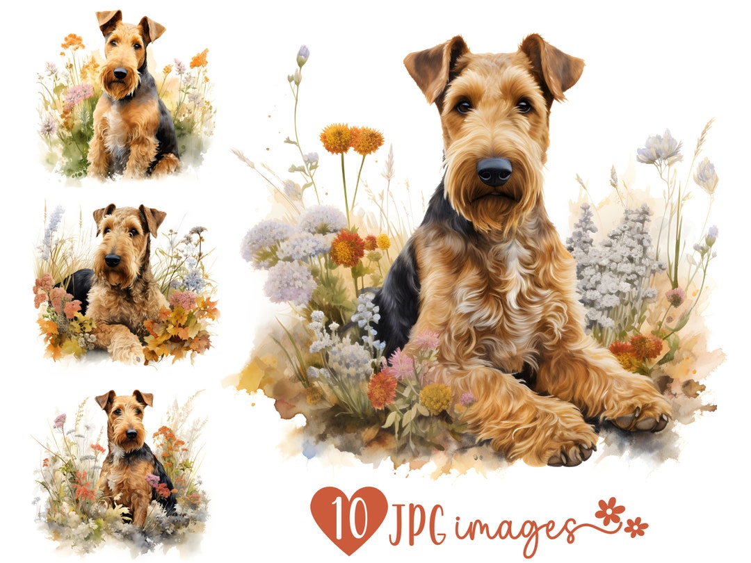 Airedale Terrier Clipart Bundle, Watercolor JPG Prints, Dog Digital ...